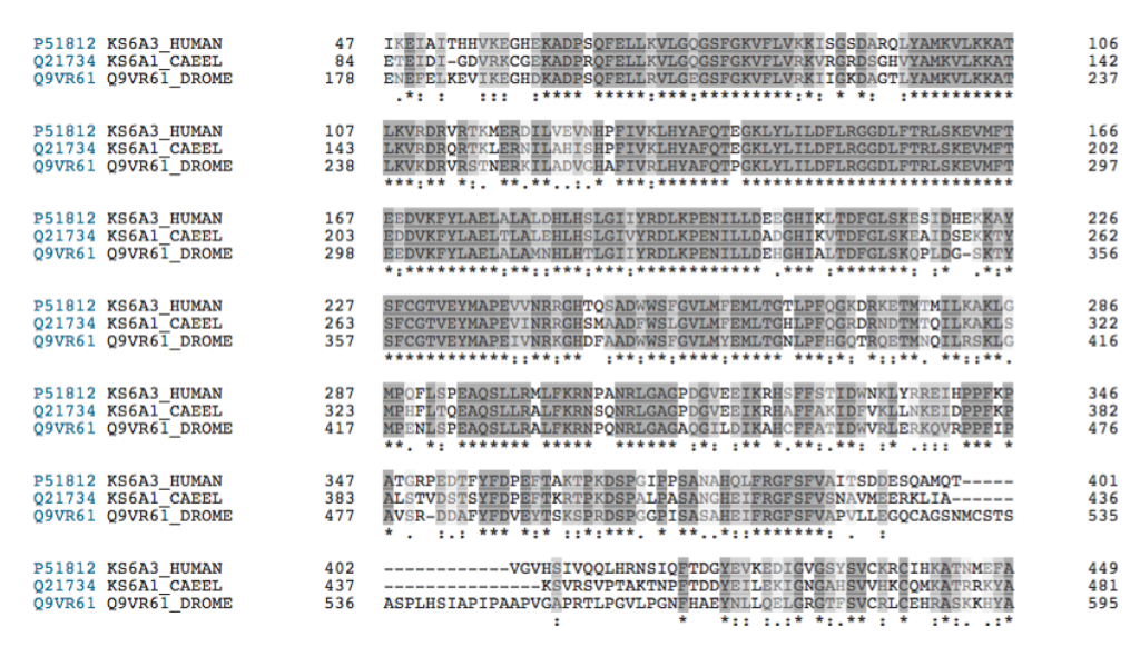 Perlara Collaborates with Undiagnosed Diseases Network (UDN)